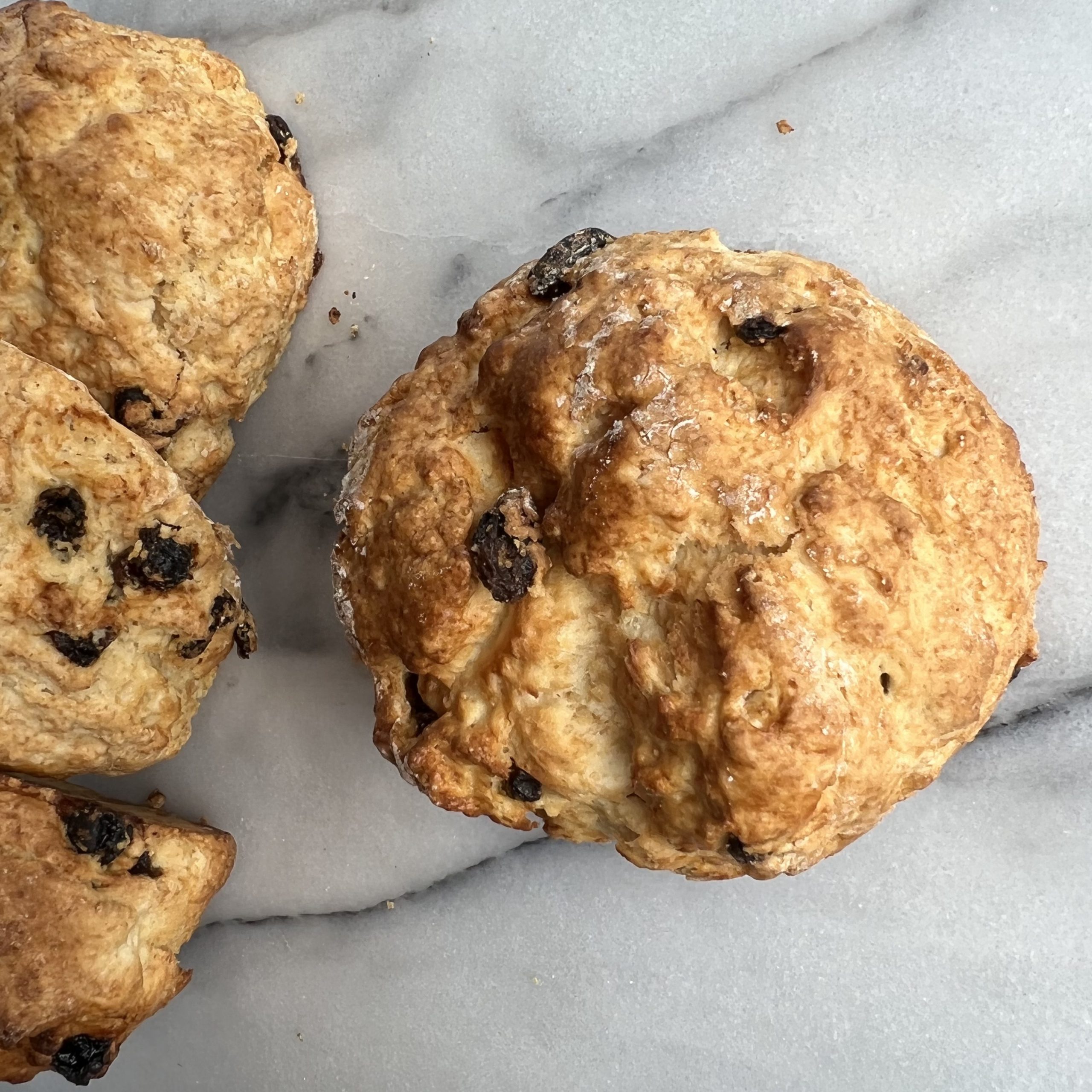 Buttermilk Raisin Scone - Kamui Farm | Ice-cream, Bakery & Homestead